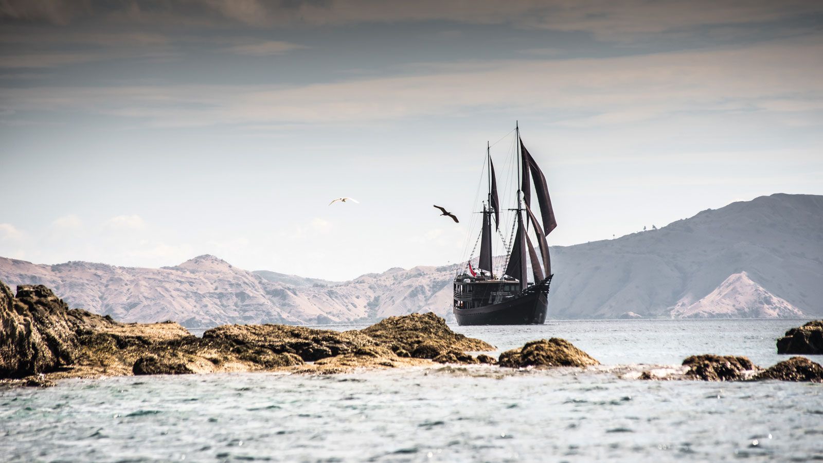 Yachts for Science 2021 projects: How superyachts can support ocean ...